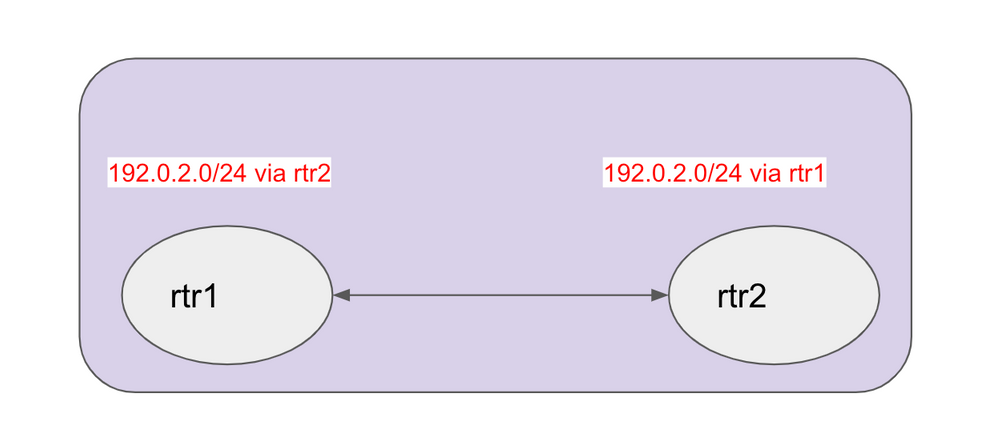 The Risks and Dangers of Amplified Routing Loops.